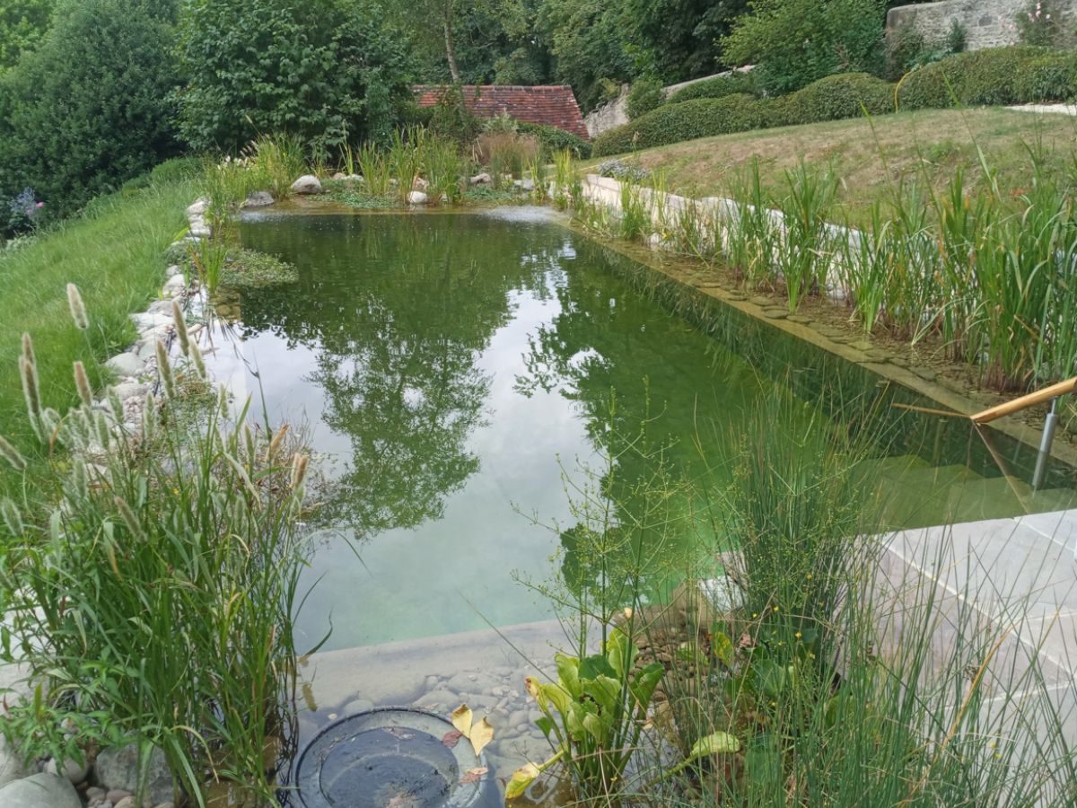 About Your Project, If You Use A Main Contractor… - Ponds By Michael Wheat