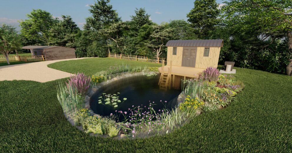 Pond Planning Permission: Key Tips To Garden Project Success
