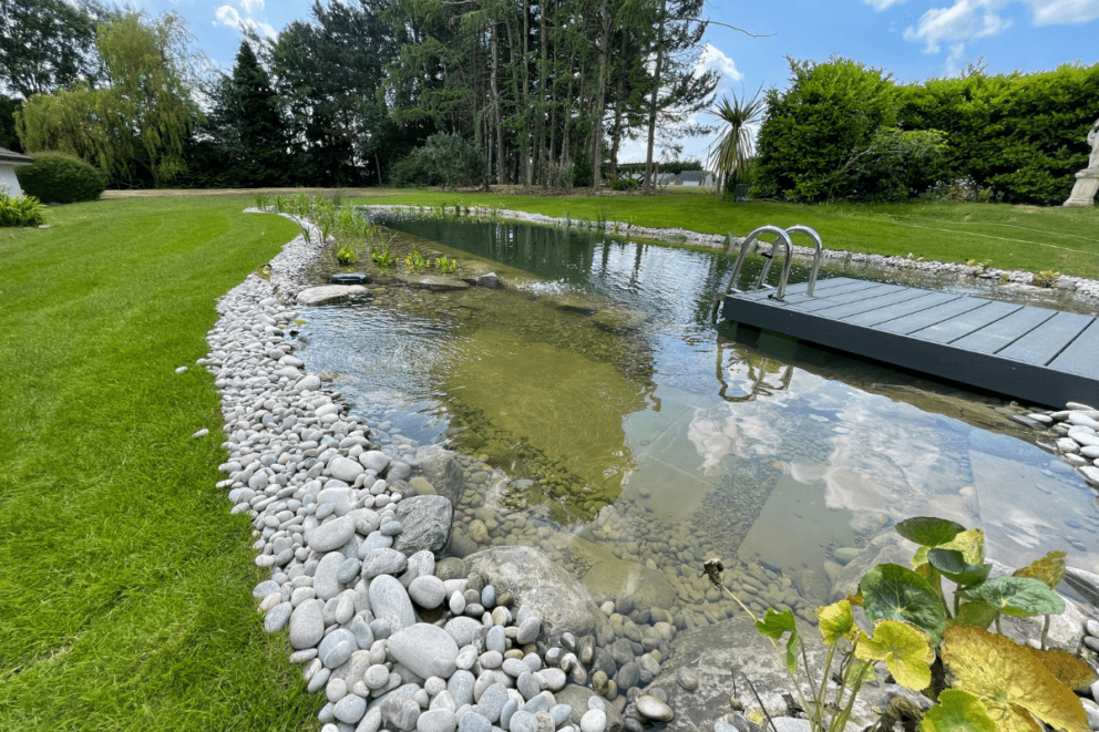 Natural Pond Filtration: Expert Guide - Clear SwimPond Water