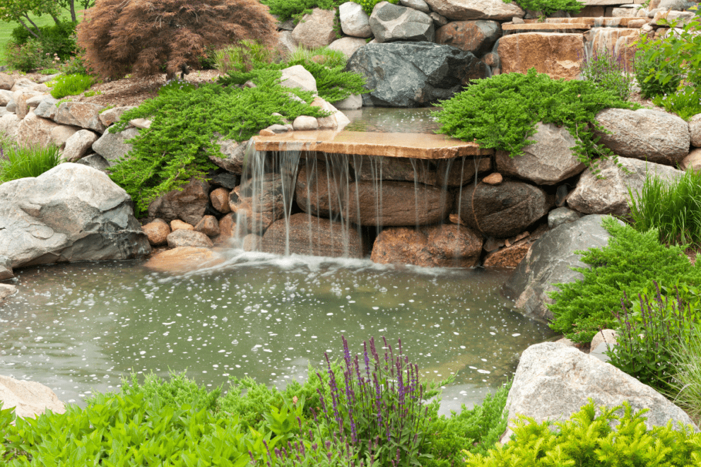 Pond Rocks: How To Use Stones Effectively In Pond Design