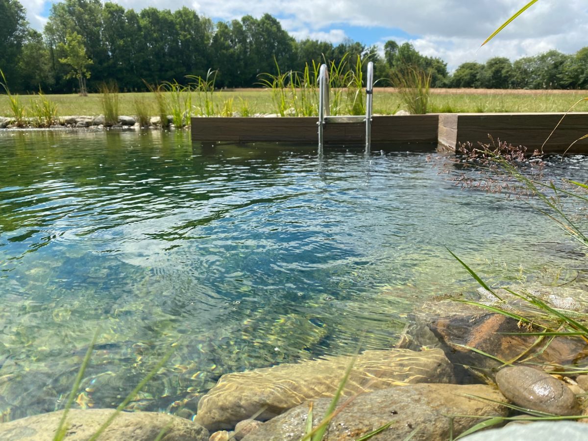 Michael Wheat System - Ponds By Michael Wheat