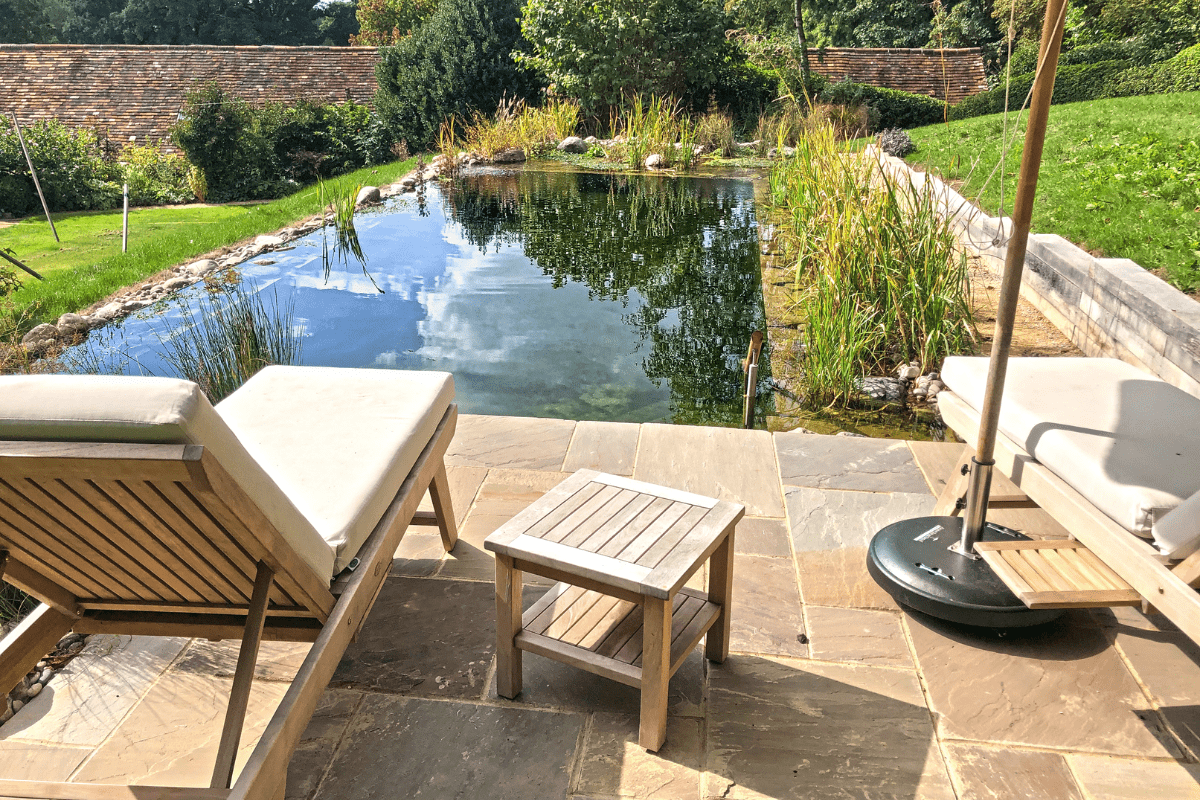 Types Of Swimming Ponds: Ultimate Guide And Expert Care Tips