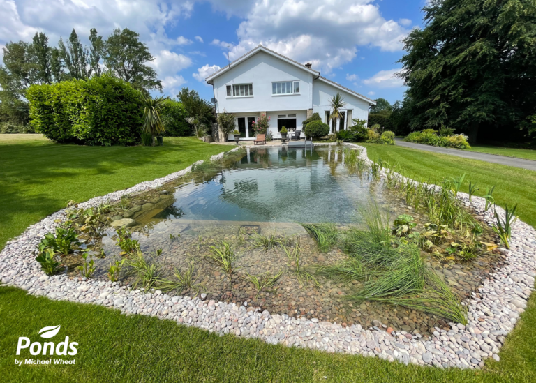SwimPond Project - North Yorkshire - Ponds by Michael Wheat
