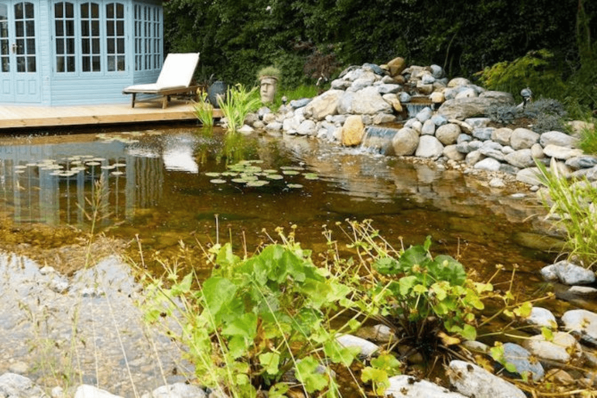 Best Pond Plants: Top 5 Picks For Different Pond Types
