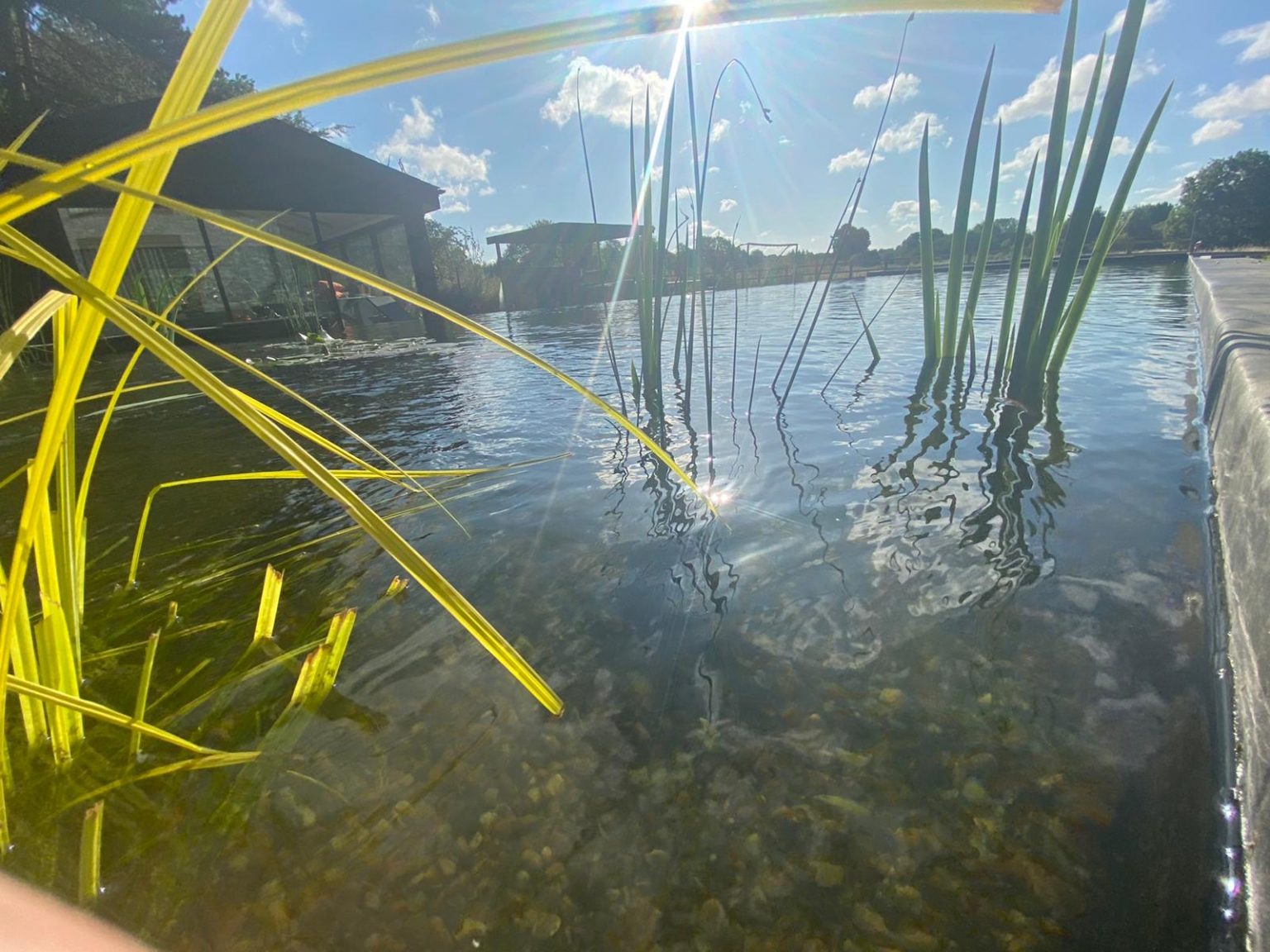 Infinity Edge SwimPond - Ponds by Michael Wheat
