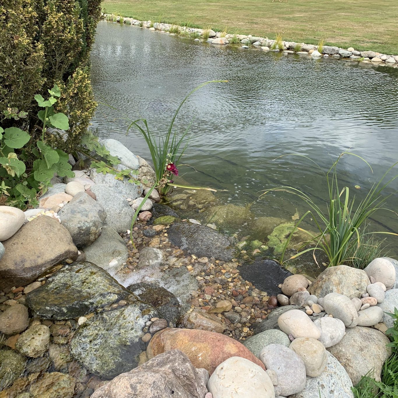 Ponds by Michael Wheat - Pond Experts Across The UK