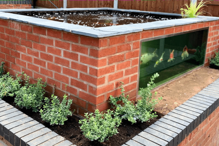 How To Build A Raised Pond In 4 Steps: Expert Guide & Tips