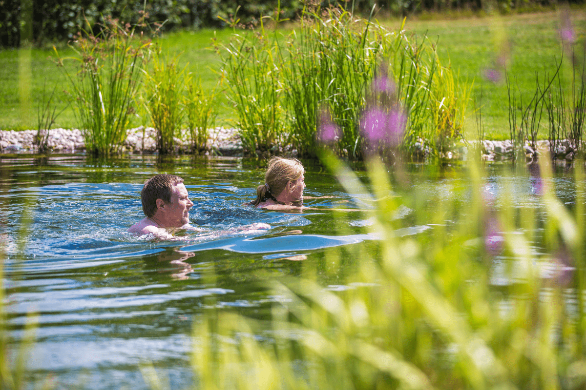 How To Build A Natural Swimming Pond: 7 Easy Steps & Advice