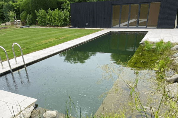 Can You Have A Natural Pool Without Plants? Discover How!