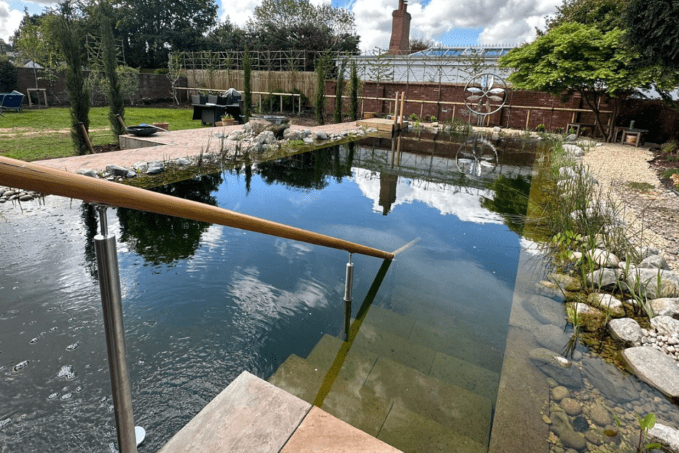 Living Pool Explained: Your Guide To Eco-Friendly Swimming