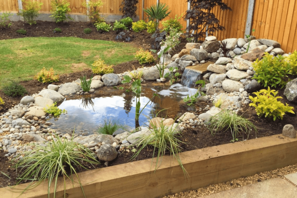 How To Build A Raised Pond (Step-By-Step Expert Guide)