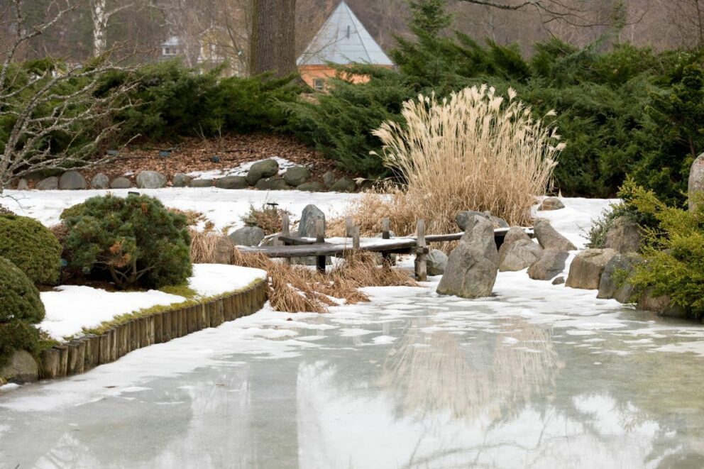 Frozen Pond Advice: How To Safeguard Your Fish During Winter