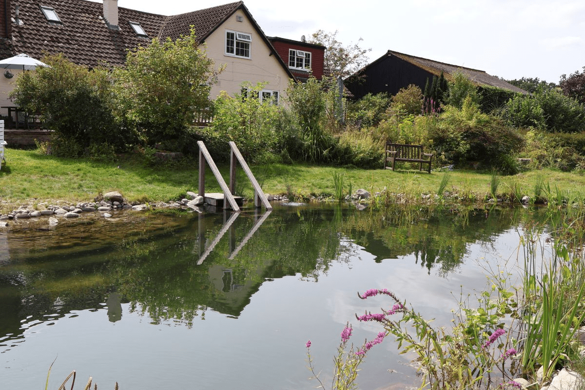 Swim Pond Problems: 7 Common Issues And Expert Solutions