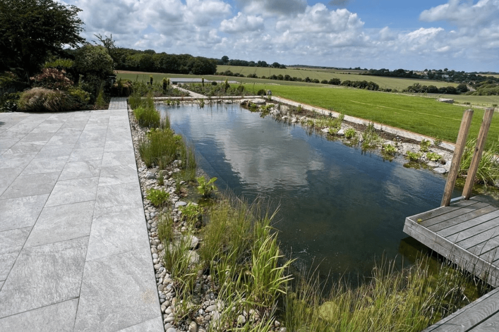 7 Swimpond Benefits That Go Beyond Swimming: Must-Read Guide