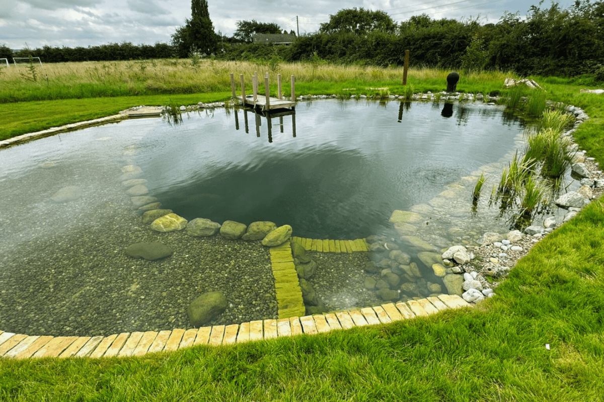 Swim Pond Problems: 7 Common Issues And Expert Solutions