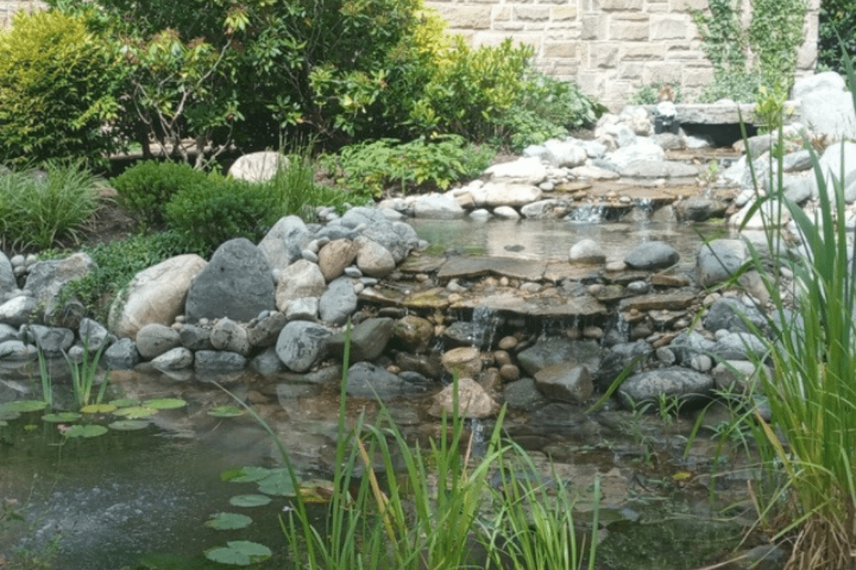 Waterfalls And Aeration In Ponds: Ultimate Guide & Top Tips