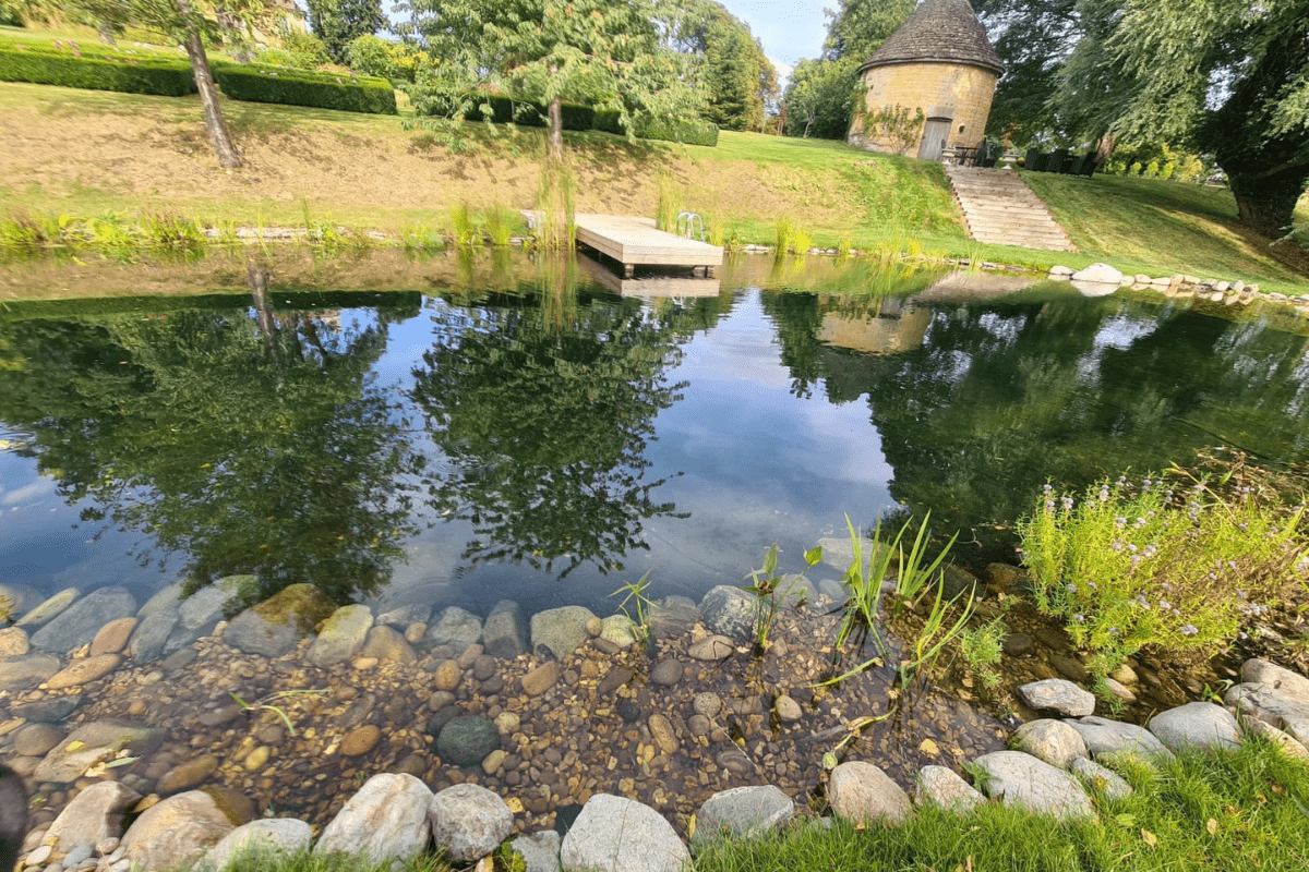 What To Put In Bottom Of Pond? Best Base For Clean Water