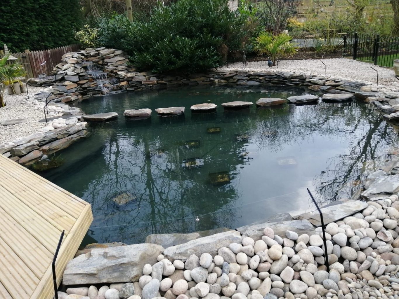 Fish Pond With Blue Water - Ponds By Michael Wheat