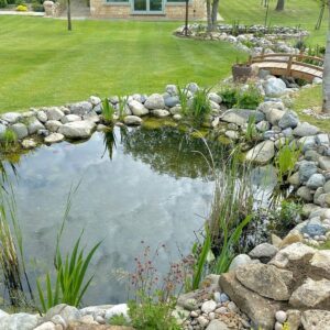 Wildlife Pond Design And Construction By Michael Wheat